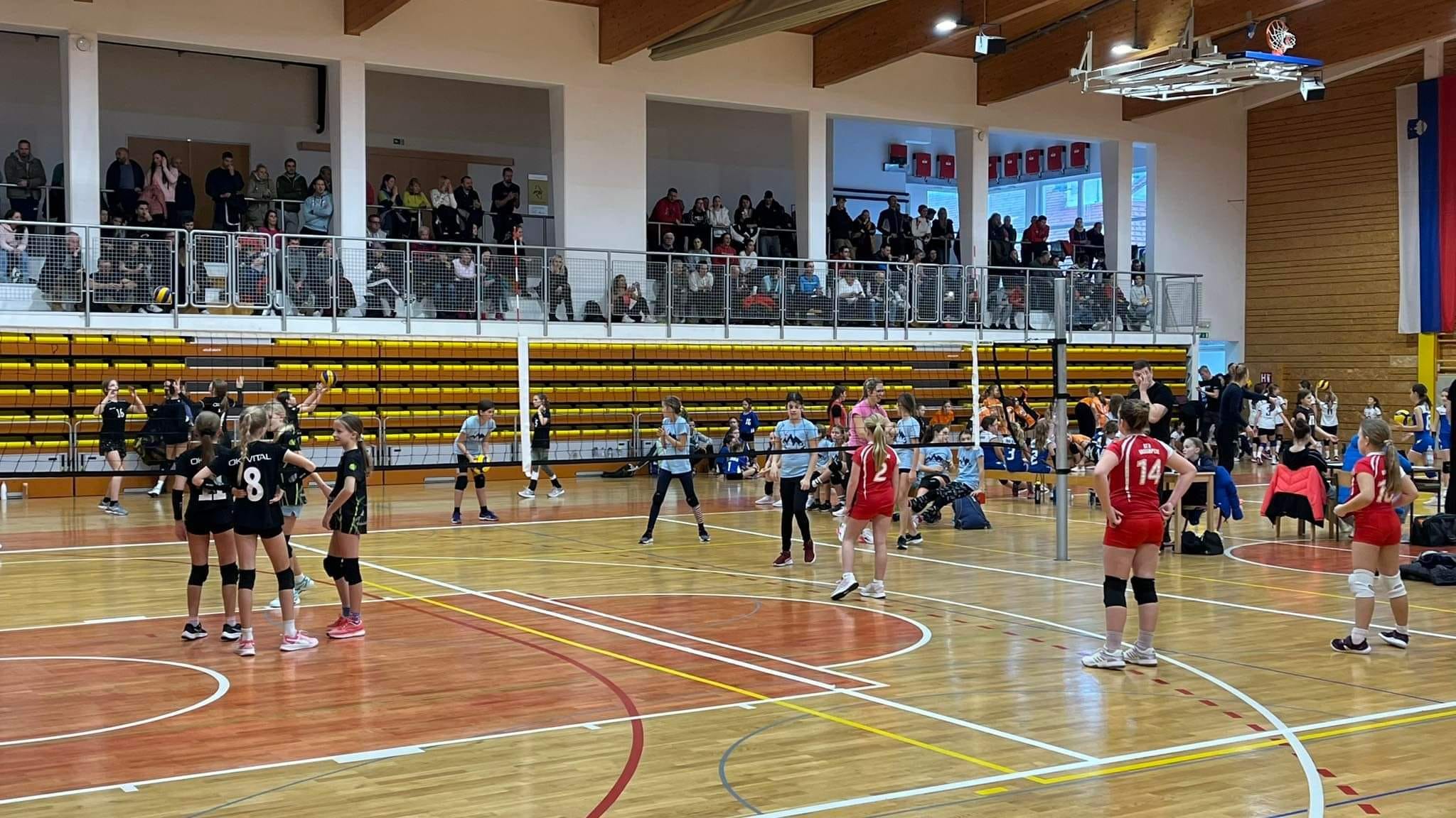 More than 500 kids gather in Šempeter for annual Mini Volleyball ...